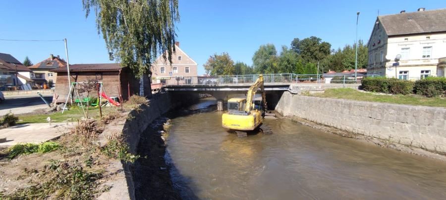 Oczyścili koryto rzeki Budzówki w Kamieńcu Ząbkowckim - galeria 1/5 ...