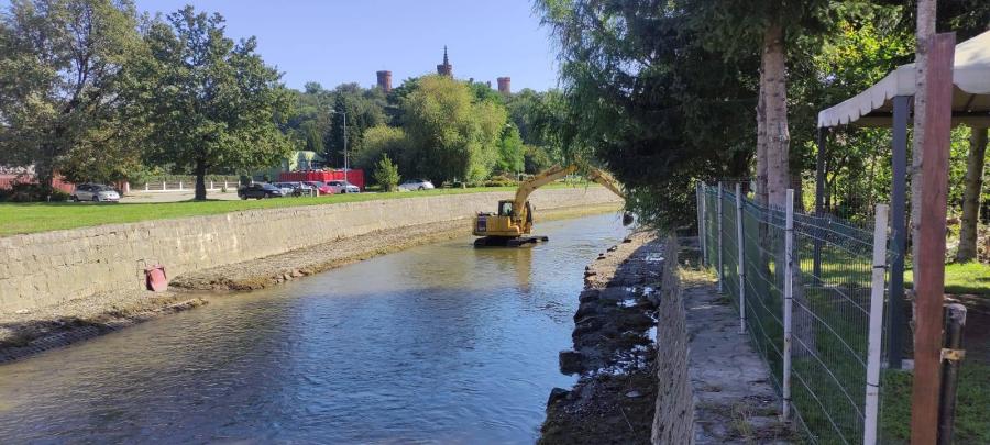 Oczyścili koryto rzeki Budzówki w Kamieńcu Ząbkowckim - galeria 1/5 ...